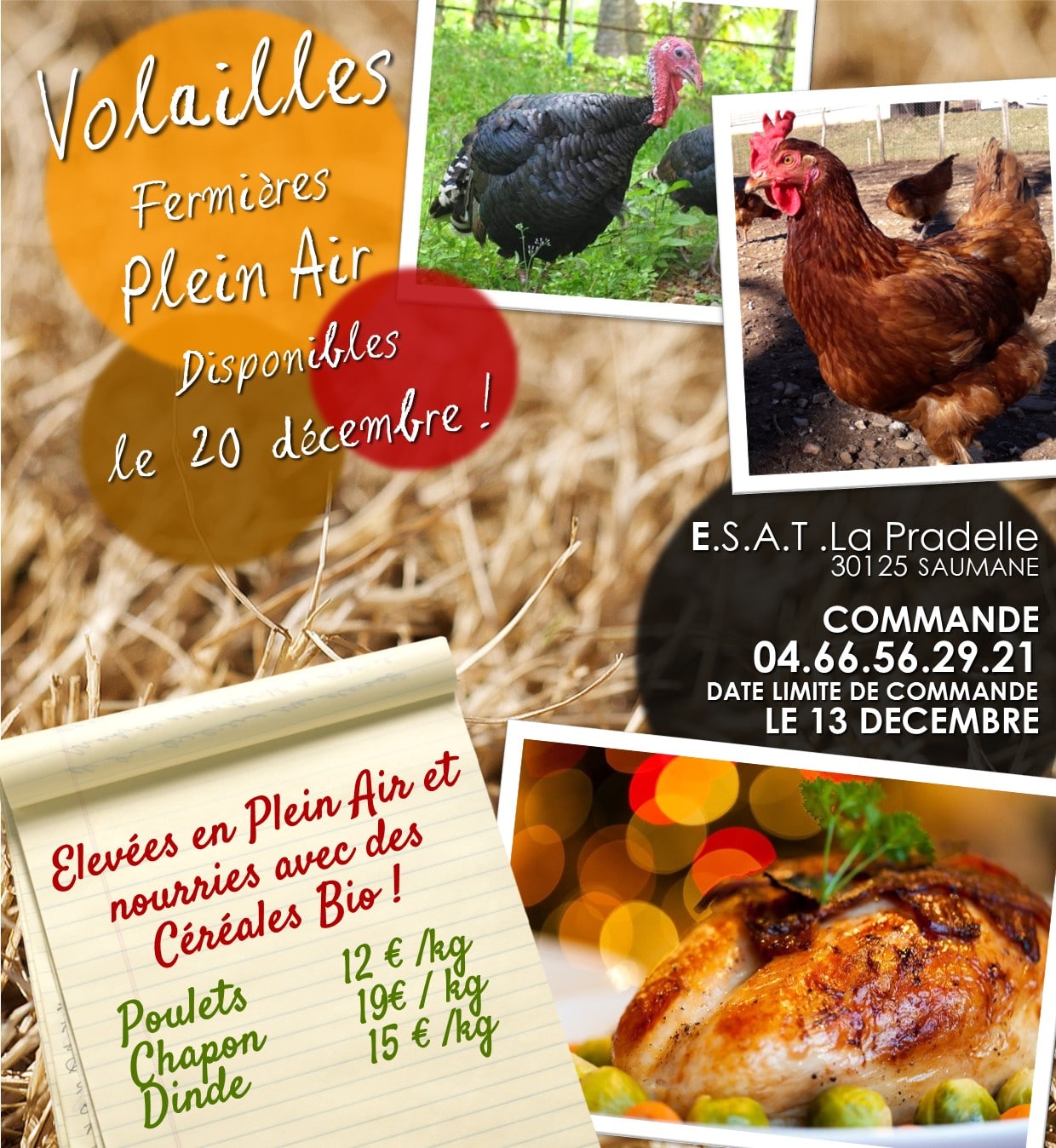 VOLAILLES FESTIVES - ESAT La Pradelle